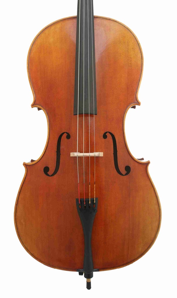 Novizio Advanced Student Cello Model 521 | PaytonViolins